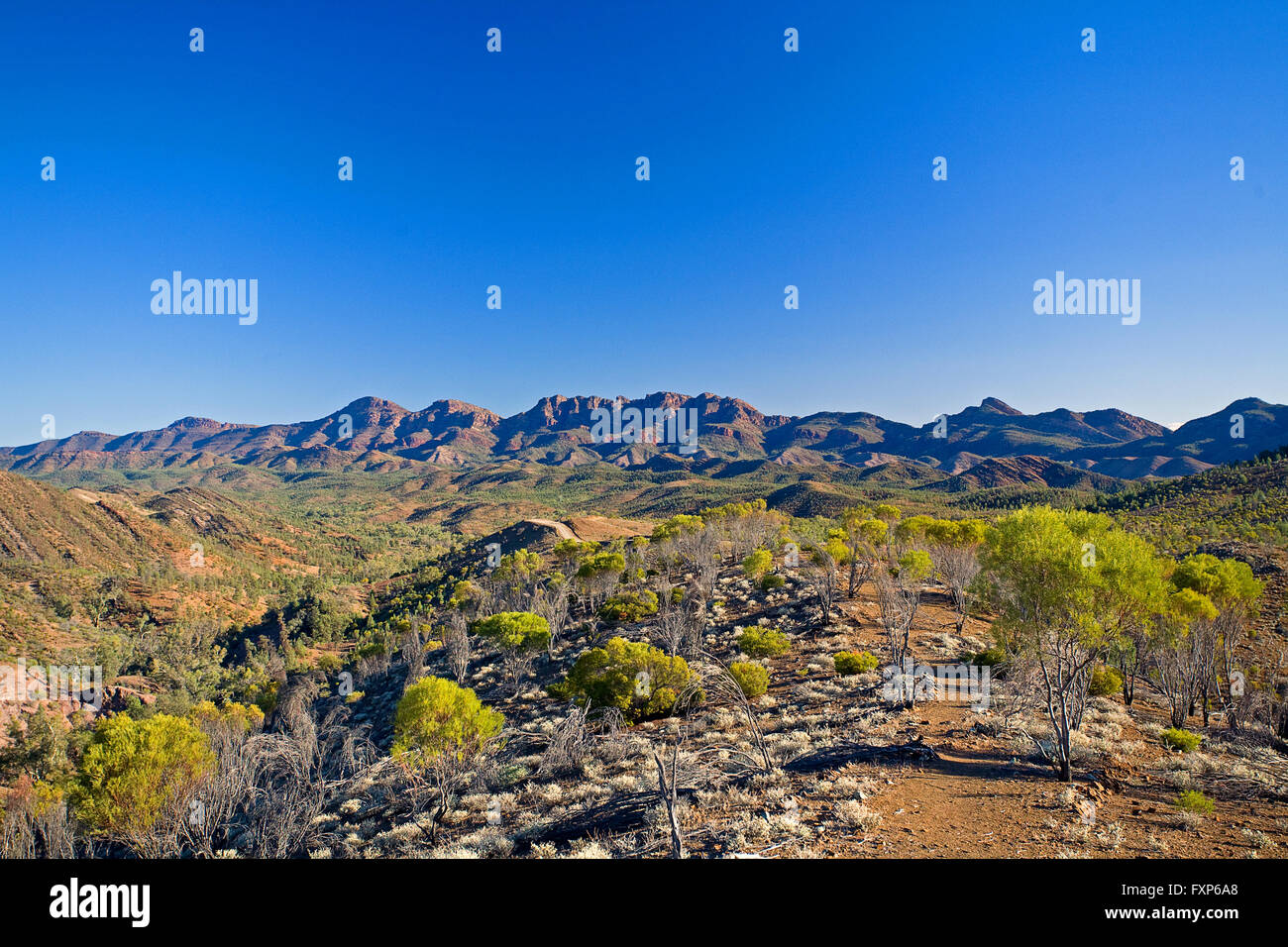 Razorback Lookout, SA Stock Photo - Alamy