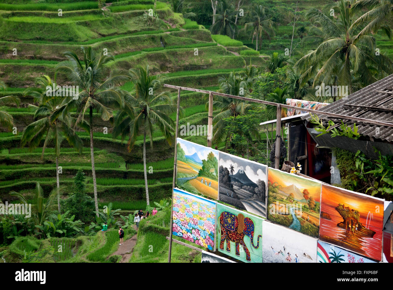 Rice terraces,Tegalalang, Ubud, Bal, Indonesia Stock Photo - Alamy