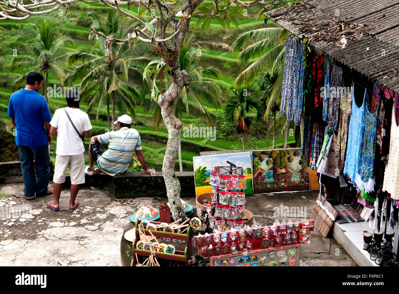 Rice terraces,Tegalalang, Ubud, Bal, Indonesia Stock Photo - Alamy