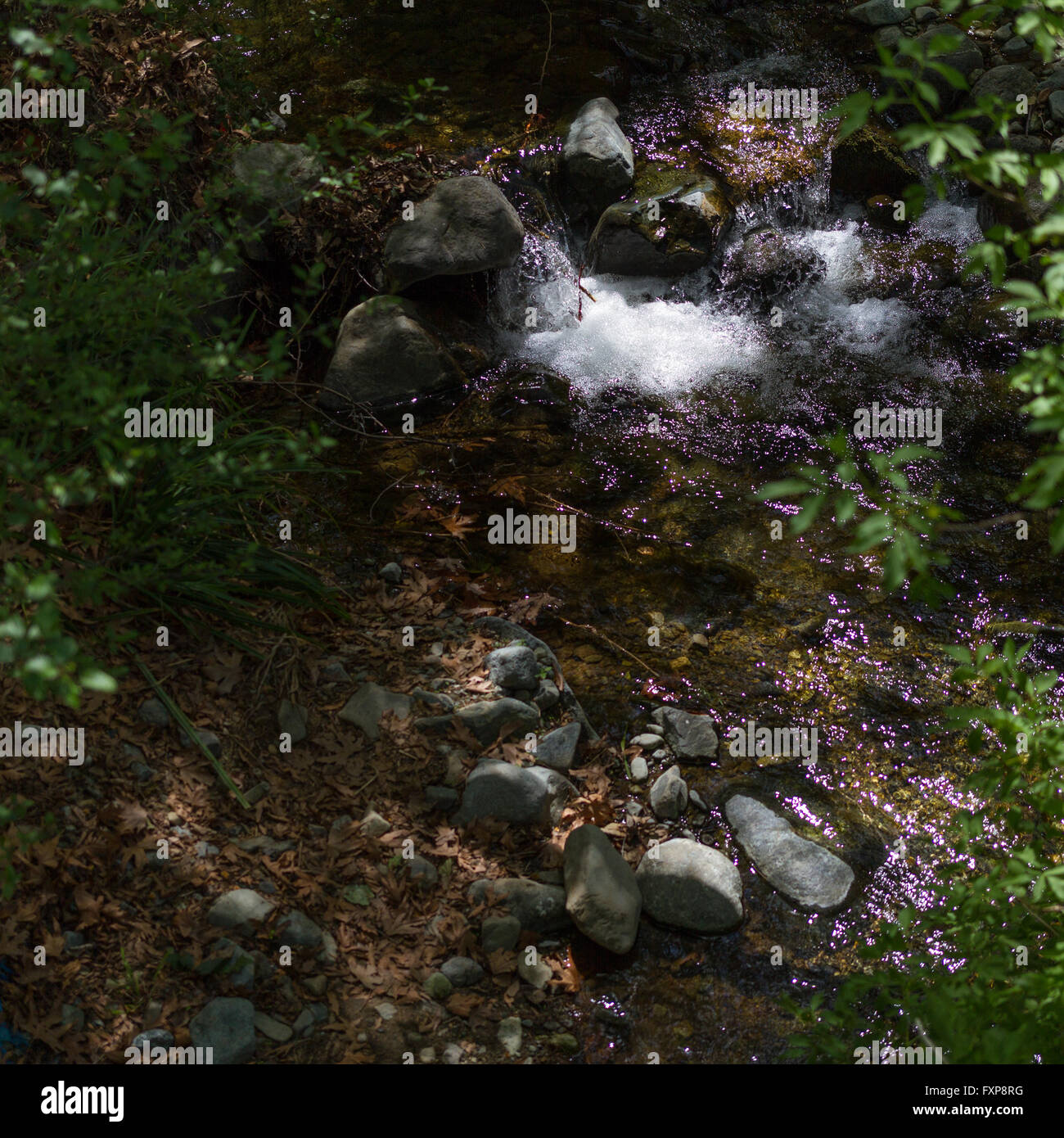 Square aspect ratio hi-res stock photography and images - Alamy