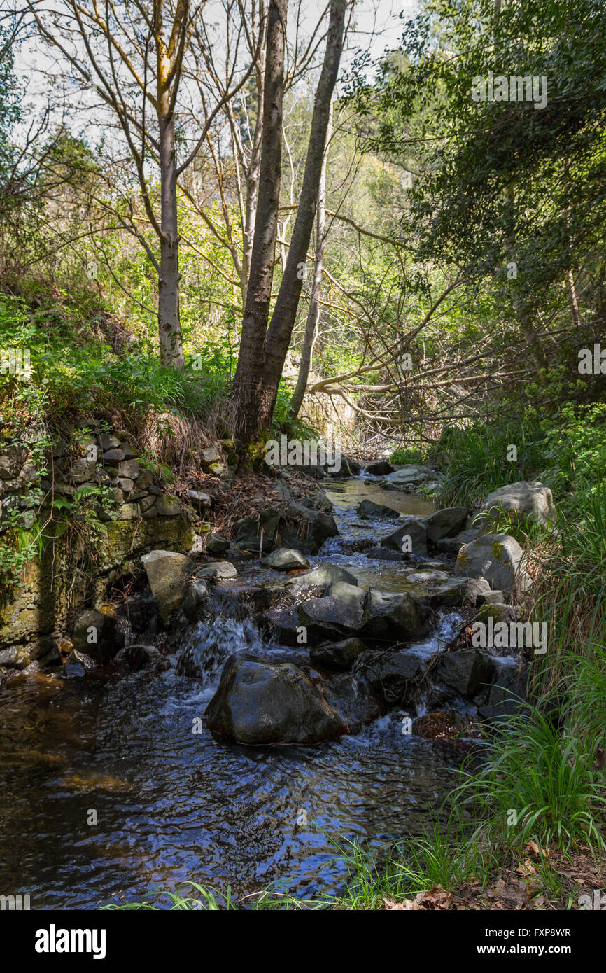 Tris elies hi-res stock photography and images - Alamy