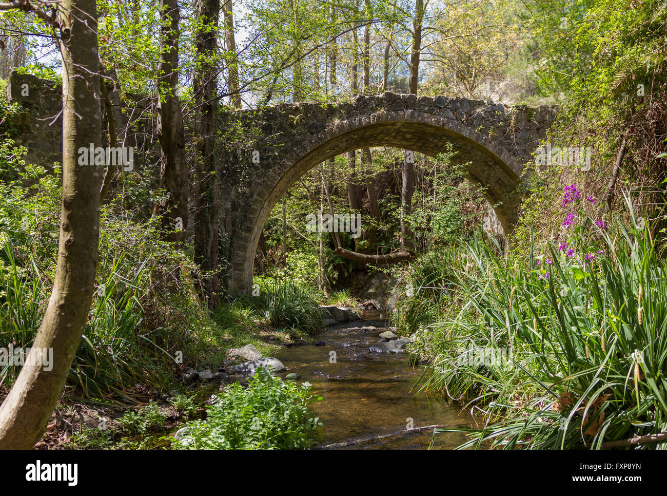 Medieval Bridge in Tris Elies is a beautiful and picturesque bridge ...