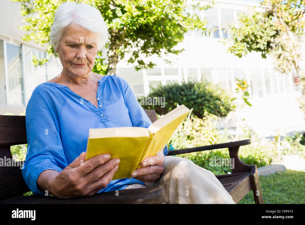 A senior woman is reading a book Stock Photo - Alamy