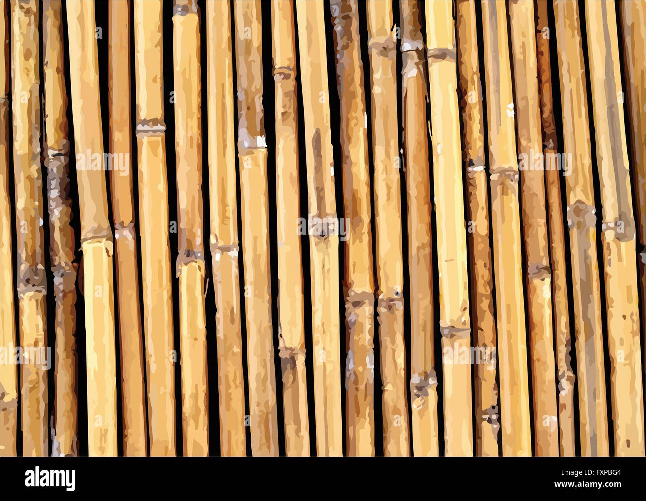 Bamboo background illustration Stock Vector Image & Art - Alamy