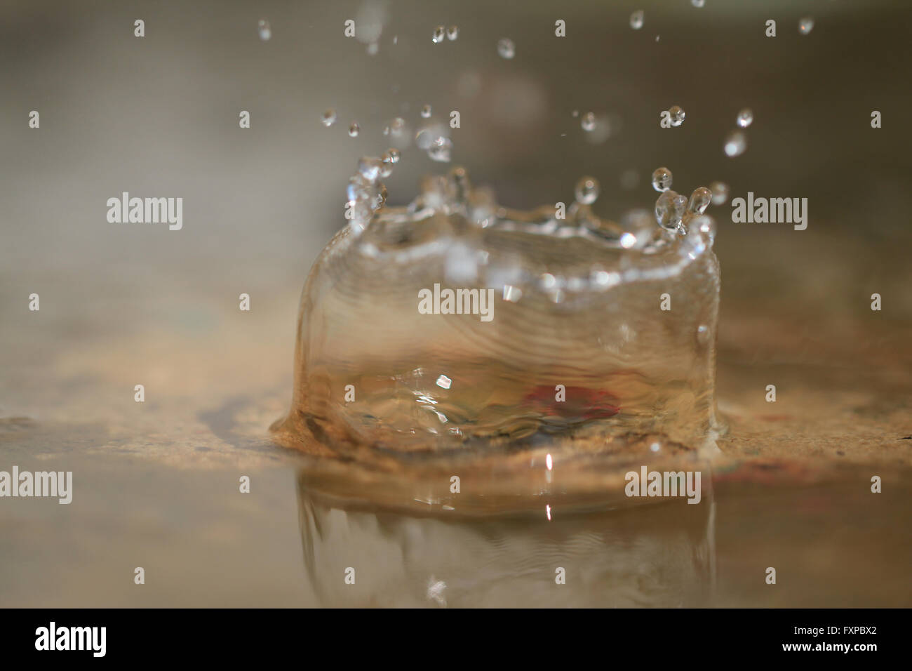 Water splash or water drop - (Selective focus Stock Photo - Alamy