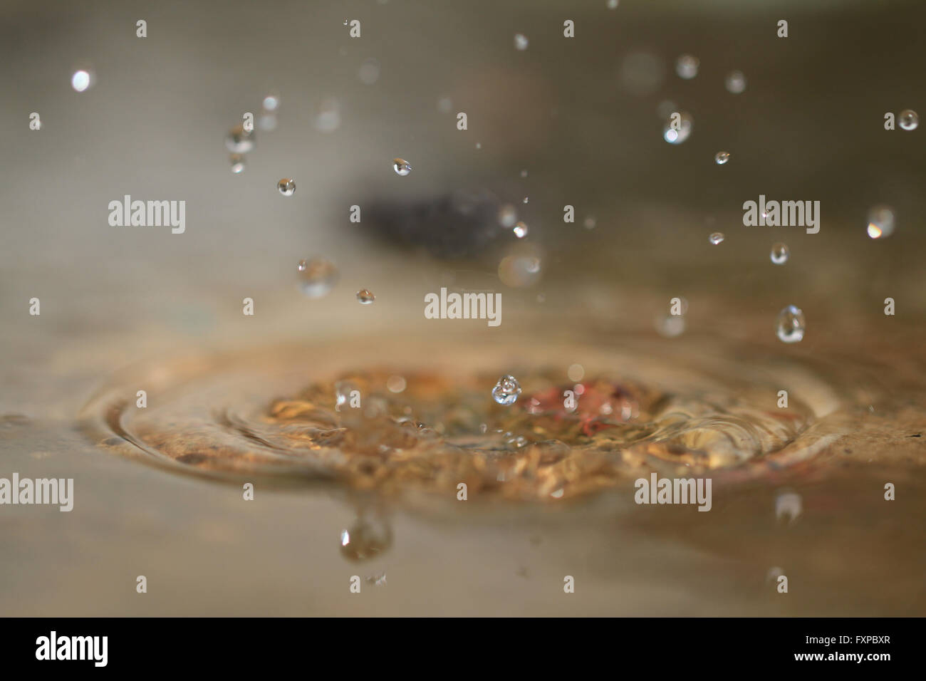 Water splash or water drop - (Selective focus Stock Photo - Alamy