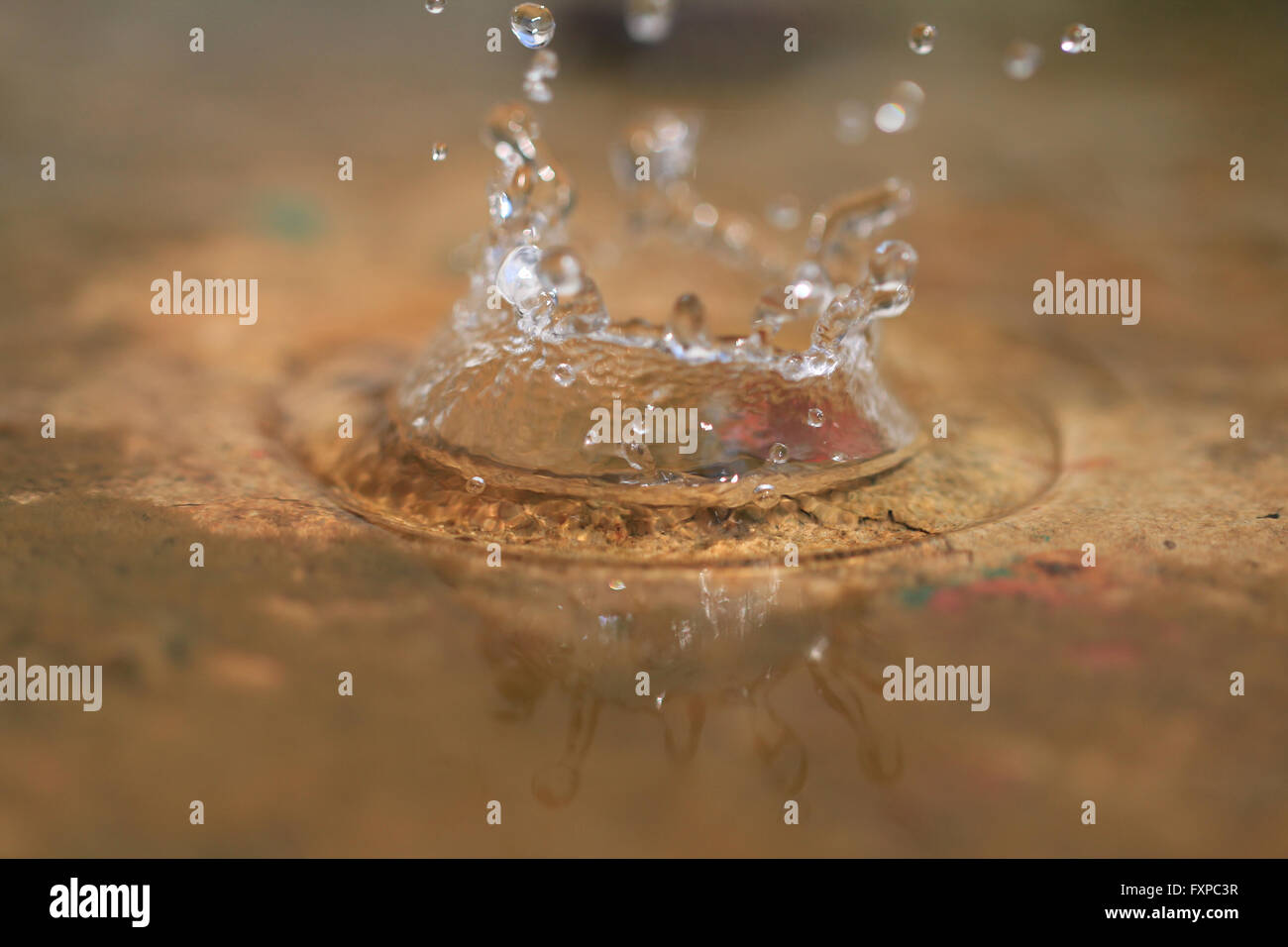 Water splash or water drop - (Selective focus Stock Photo - Alamy