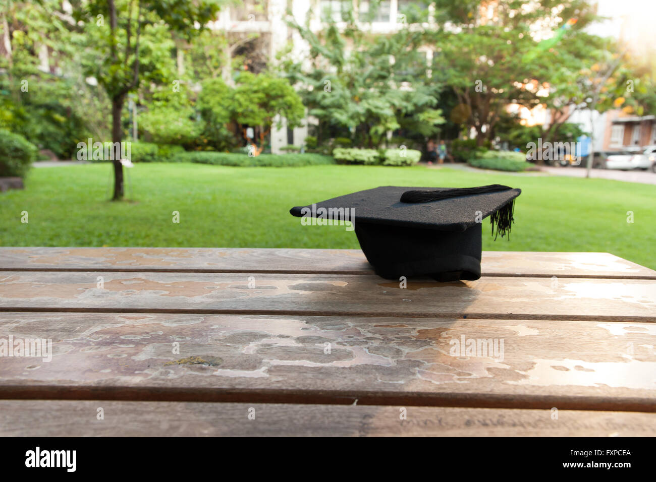 Graduation hat on vintage table with green nature background Stock ...