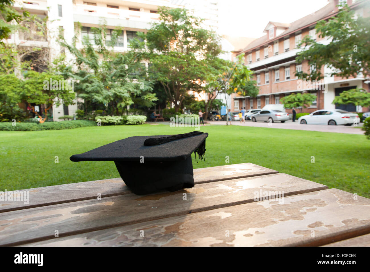 Graduation hat on vintage table with green nature background Stock ...