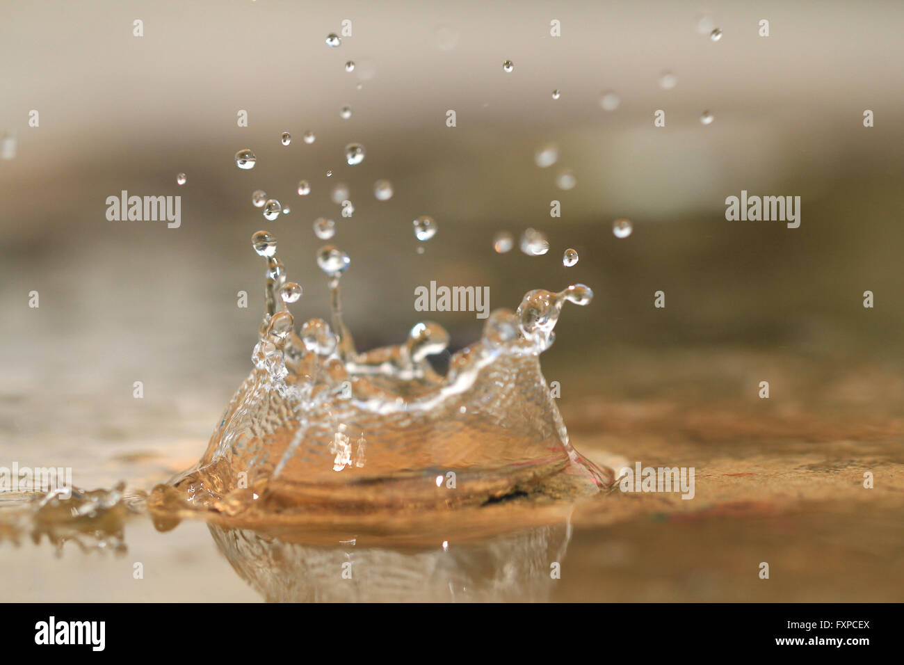 Water splash or water drop - (Selective focus Stock Photo - Alamy