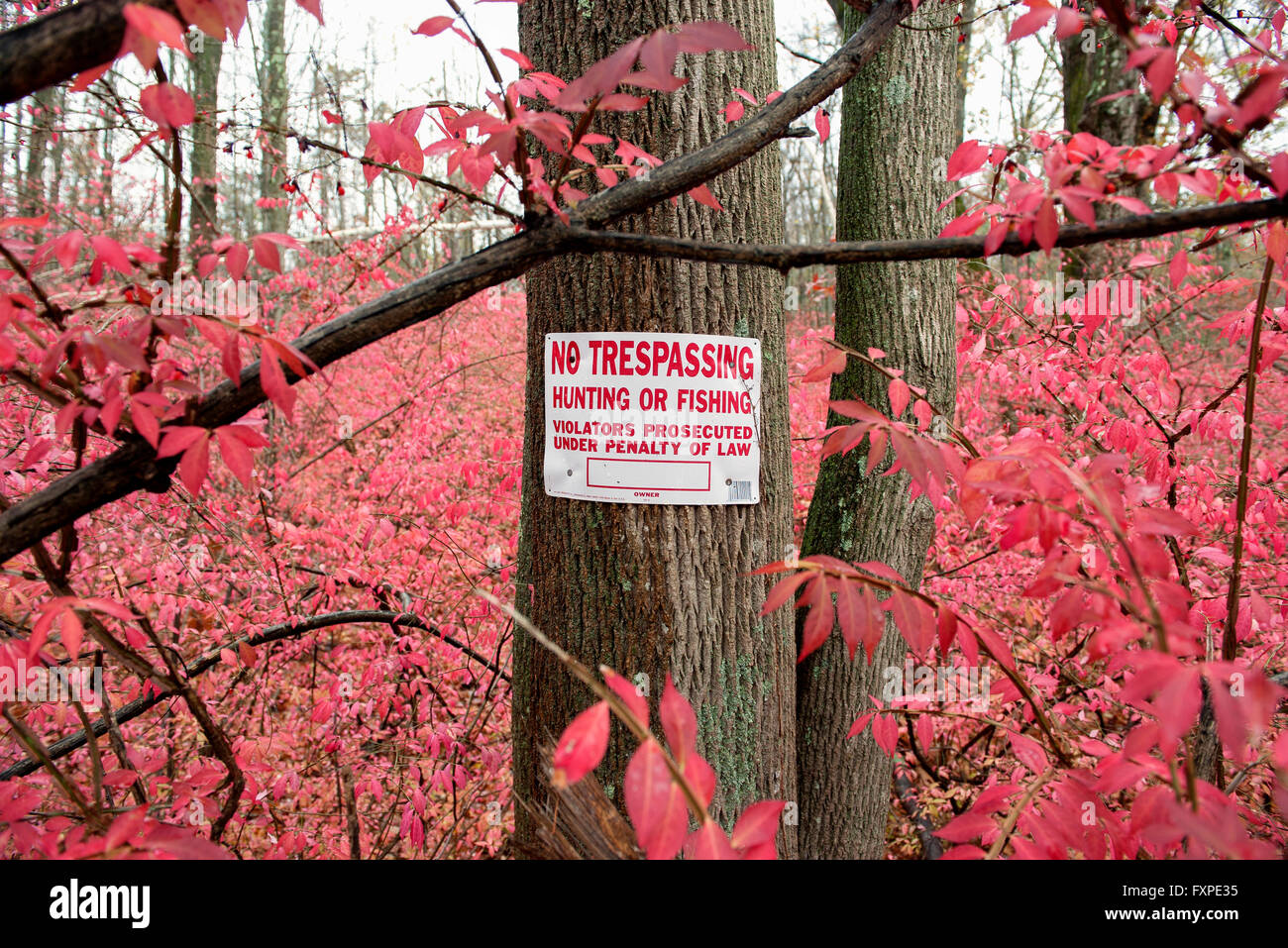 Tree protection sign hi-res stock photography and images - Alamy