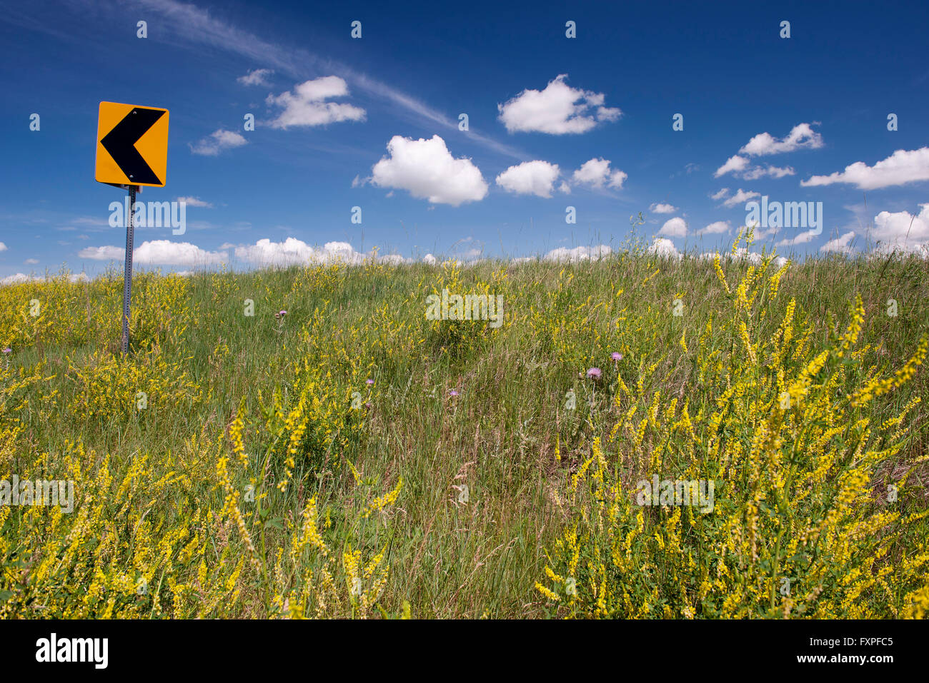 Road sign on scenic hillside Stock Photo - Alamy