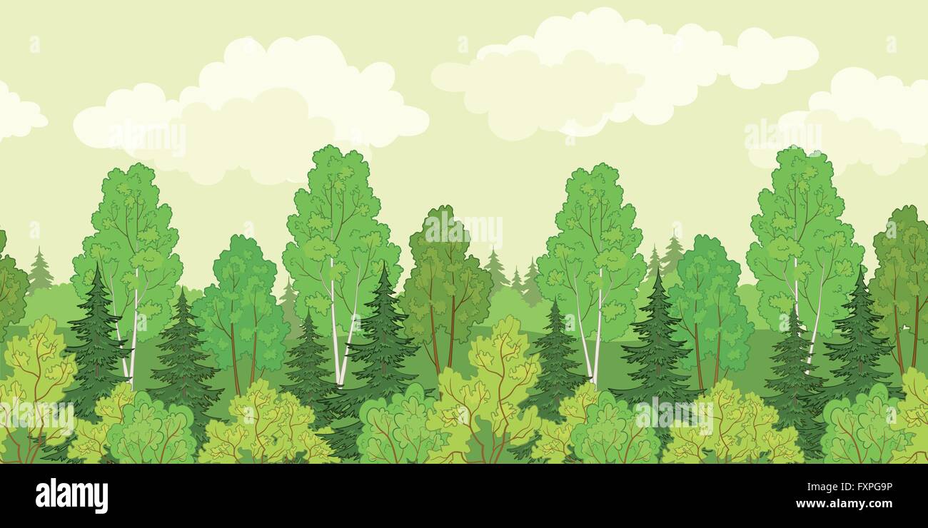 Seamless background, forest Stock Vector Image & Art - Alamy