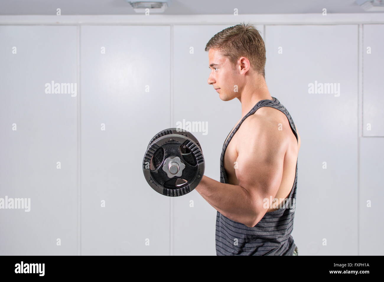 Man performing dumbbell curl at the gym. Biceps workout Stock Photo - Alamy