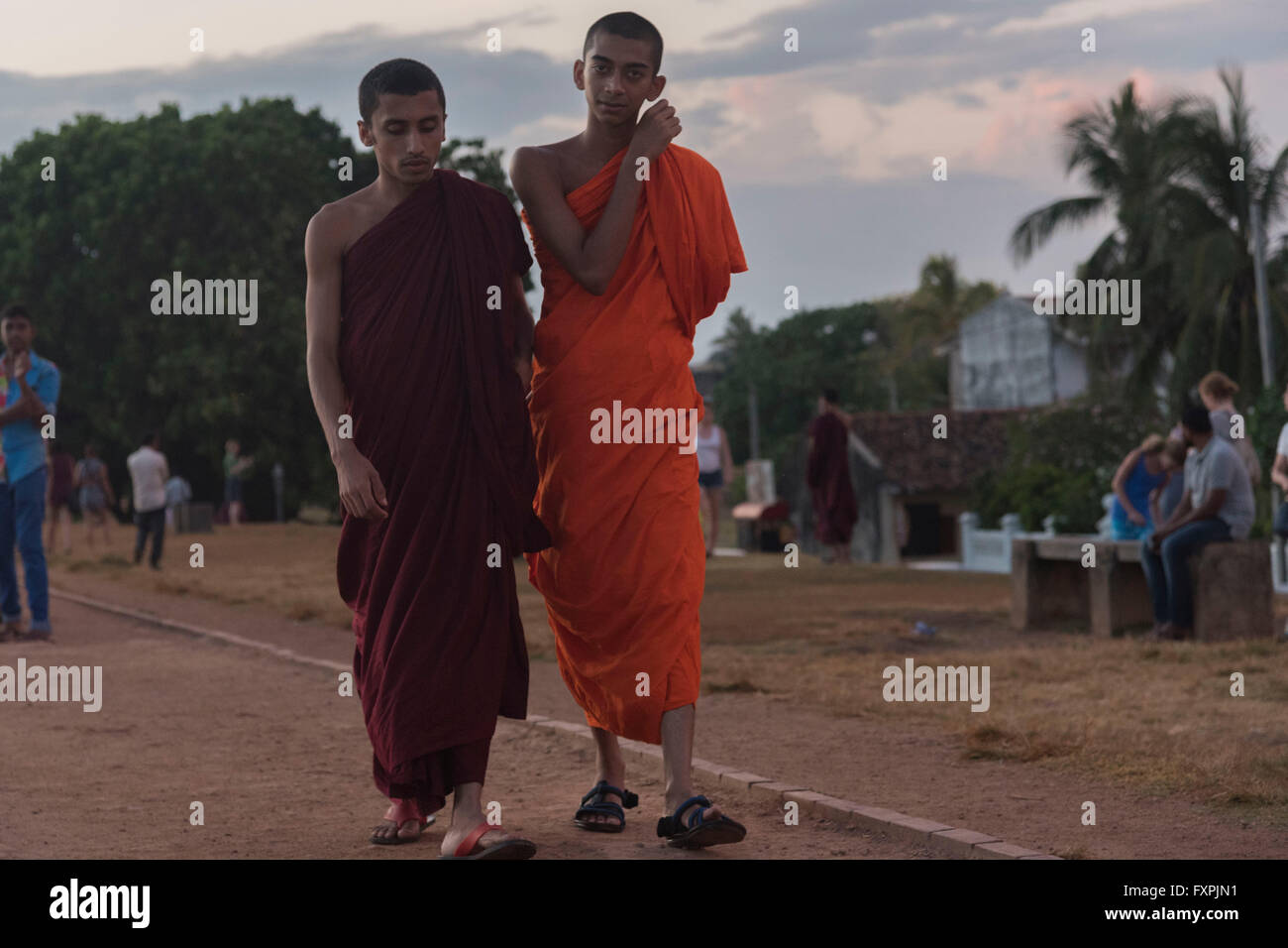 Buddhist young monk boys walk Stock Photo - Alamy