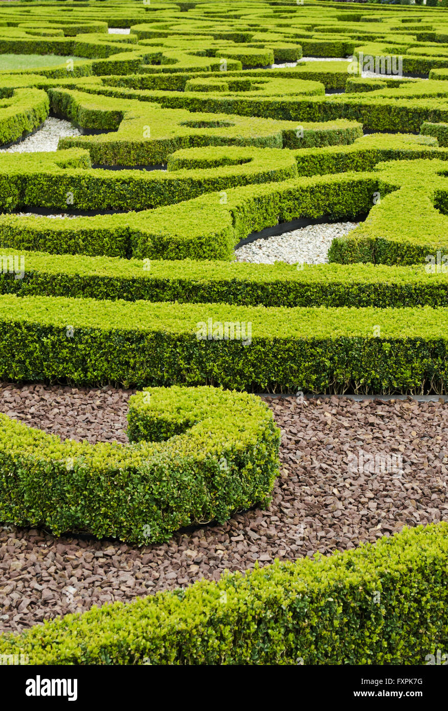 English bushes hi-res stock photography and images - Alamy