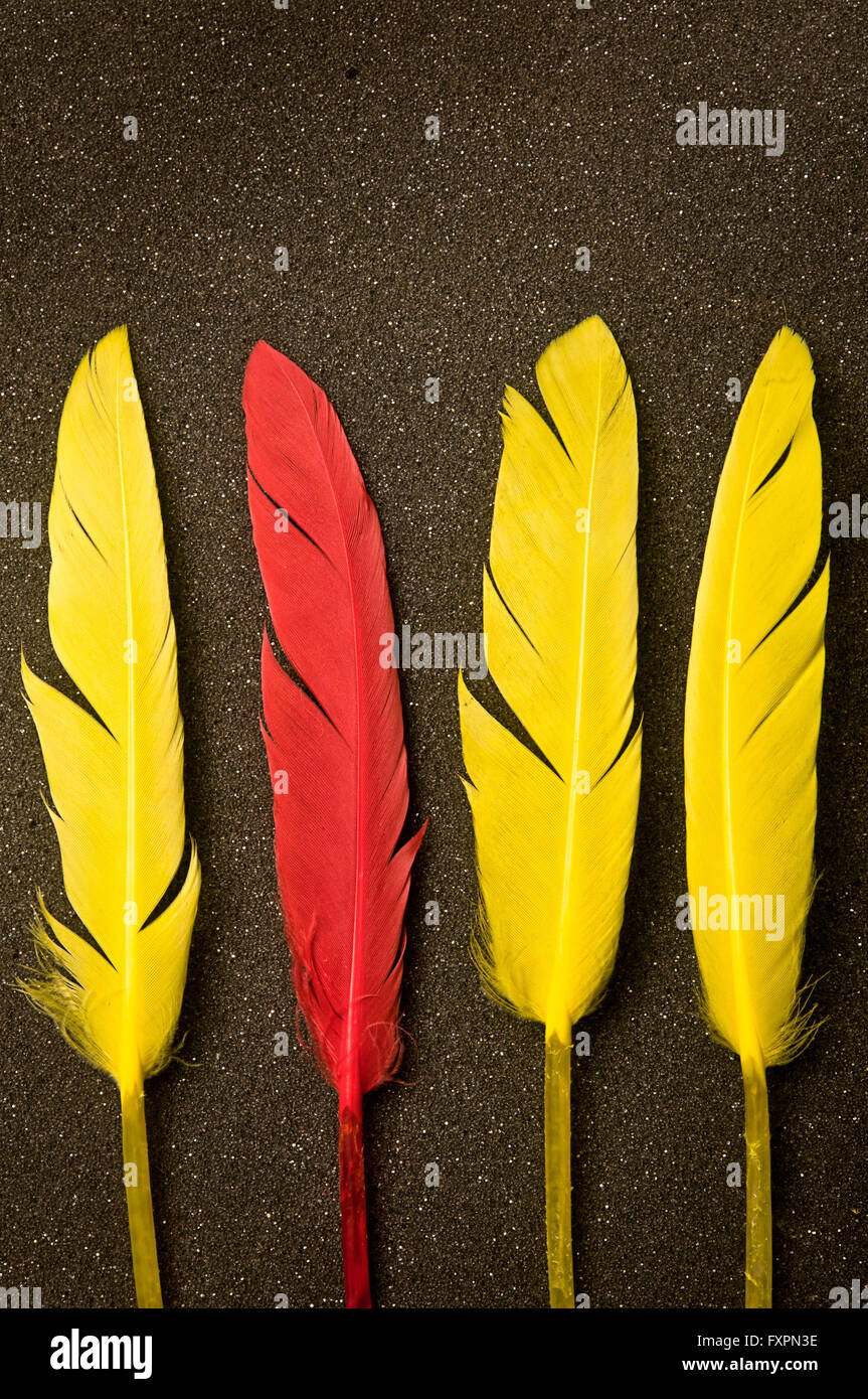 Red feathers not bird hi-res stock photography and images - Alamy