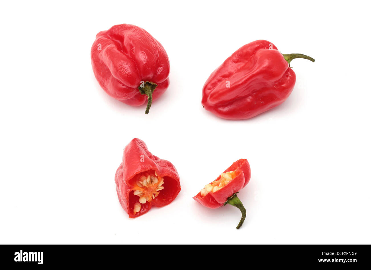 White background and suriname Cut Out Stock Images & Pictures - Alamy