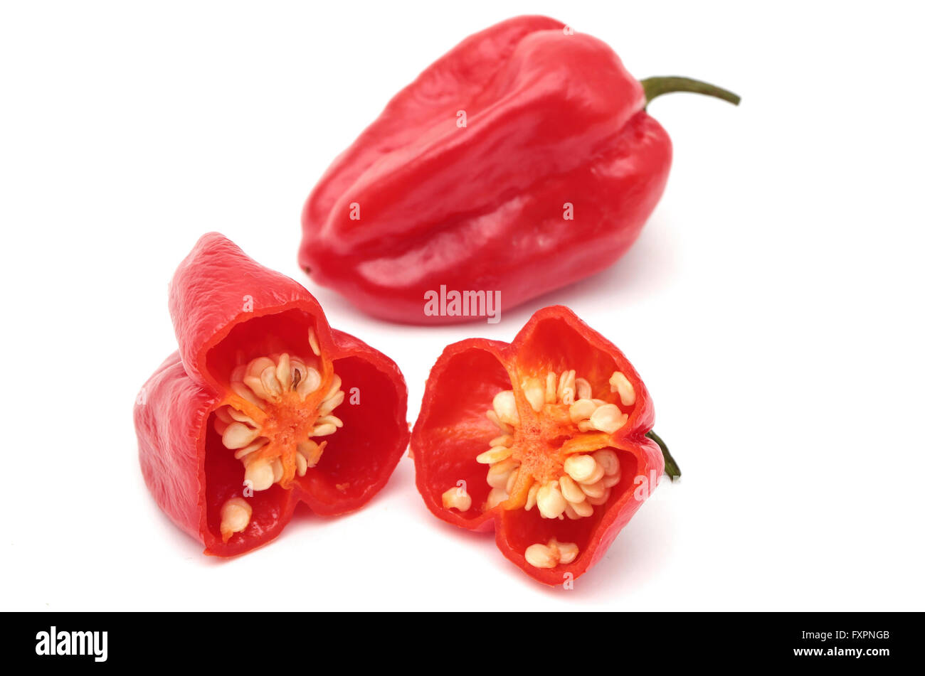 White background and suriname Cut Out Stock Images & Pictures - Alamy