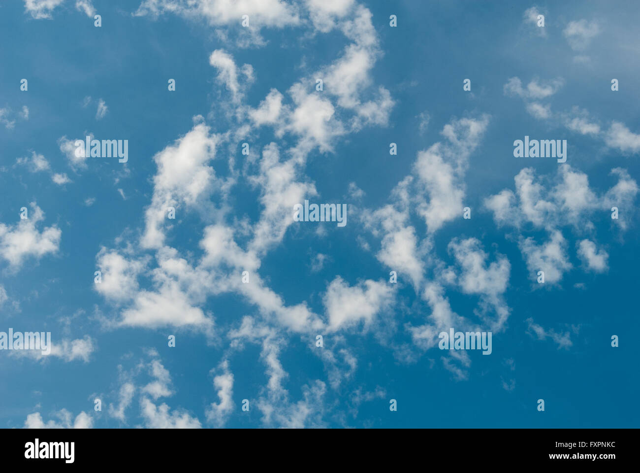 Development phase hi-res stock photography and images - Alamy