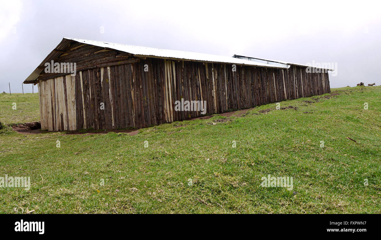 High altitude training center athletes hi-res stock photography and ...