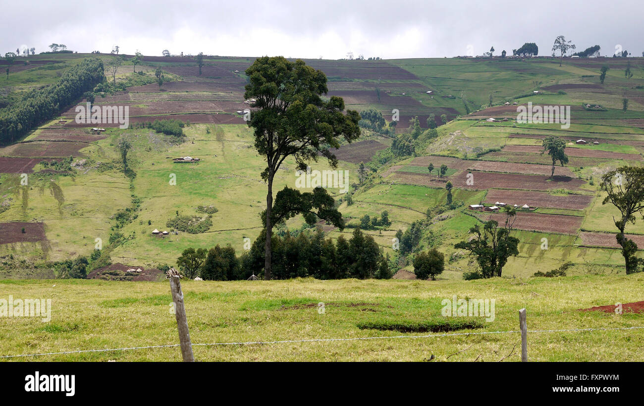 Elgon Stock Photos & Elgon Stock Images - Alamy