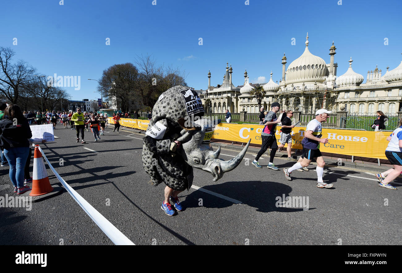 Brighton marathon rhino hi-res stock photography and images - Alamy