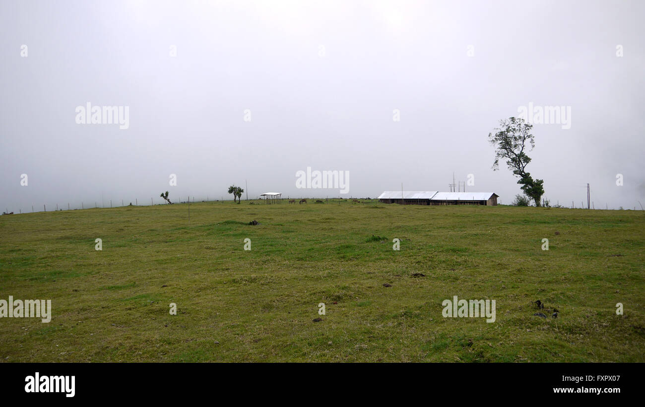 High altitude training center athletes hi-res stock photography and ...