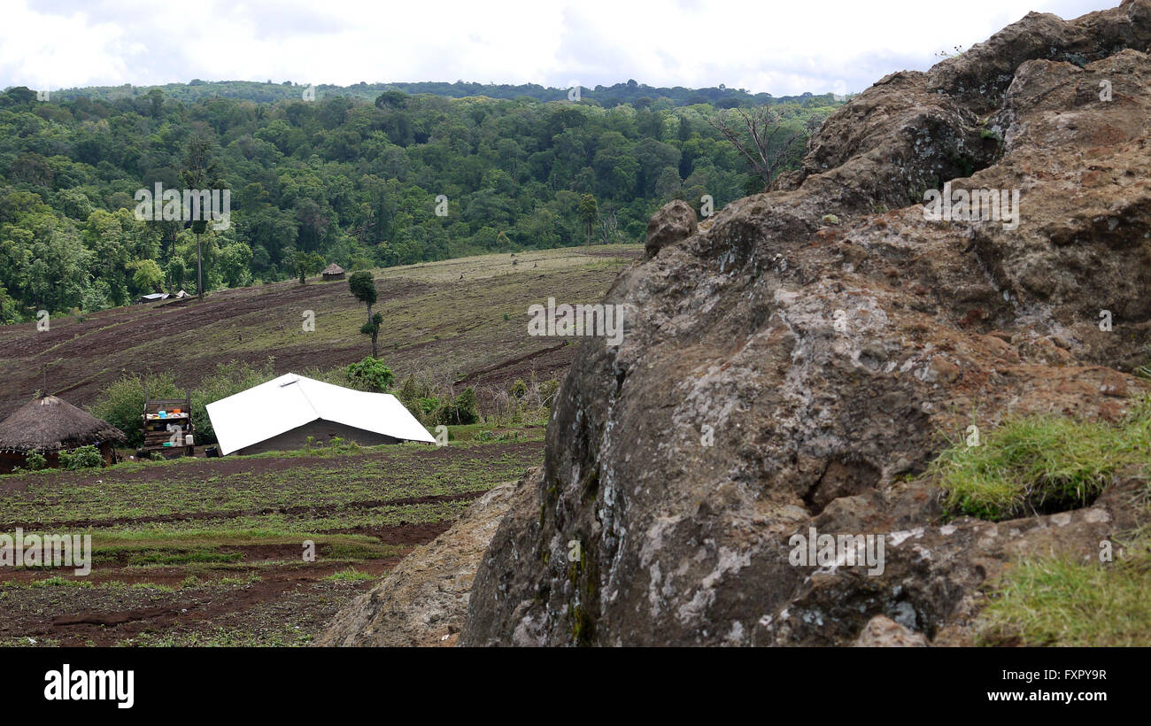 African school under tree hi-res stock photography and images - Alamy