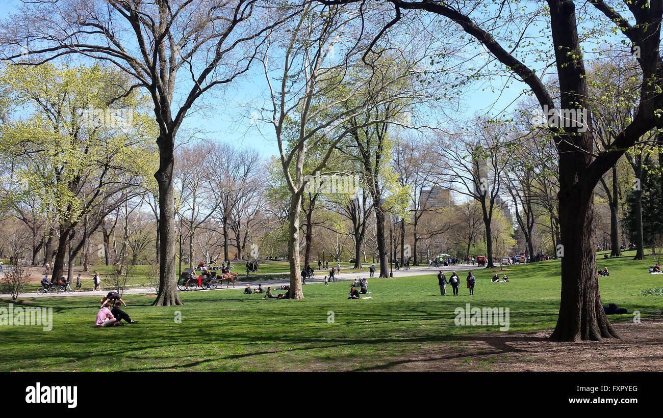 New york parks hi-res stock photography and images - Alamy