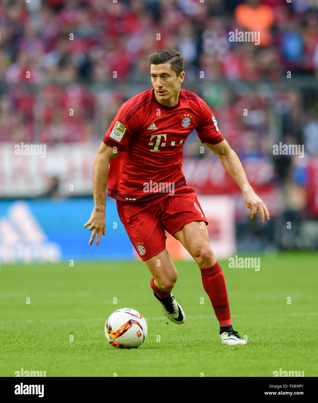 Bayern Munich's Robert Lewandowski in action during the Bundesliga ...