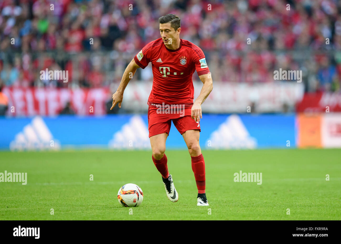 Bayern Munich's Robert Lewandowski in action during the Bundesliga ...