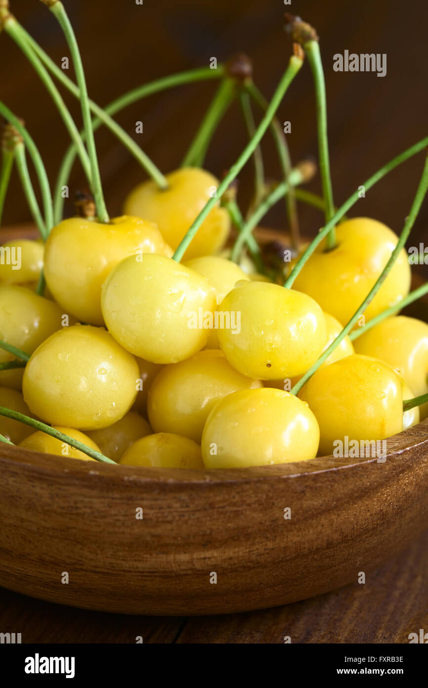 Ripe yellow or Rainier cherry in wooden bowl, photographed with natural ...