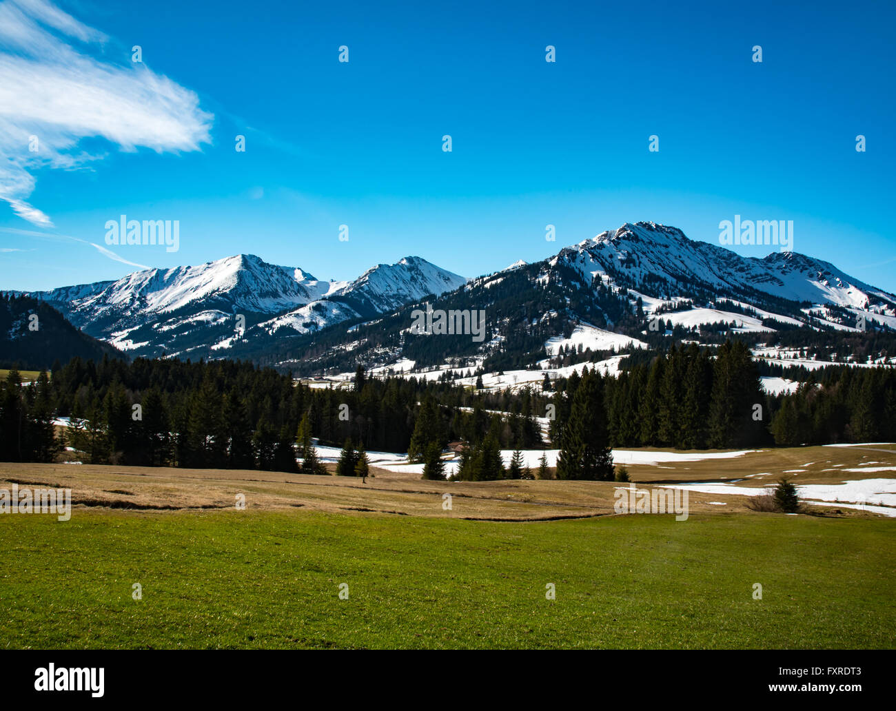 German alps grass hi-res stock photography and images - Alamy