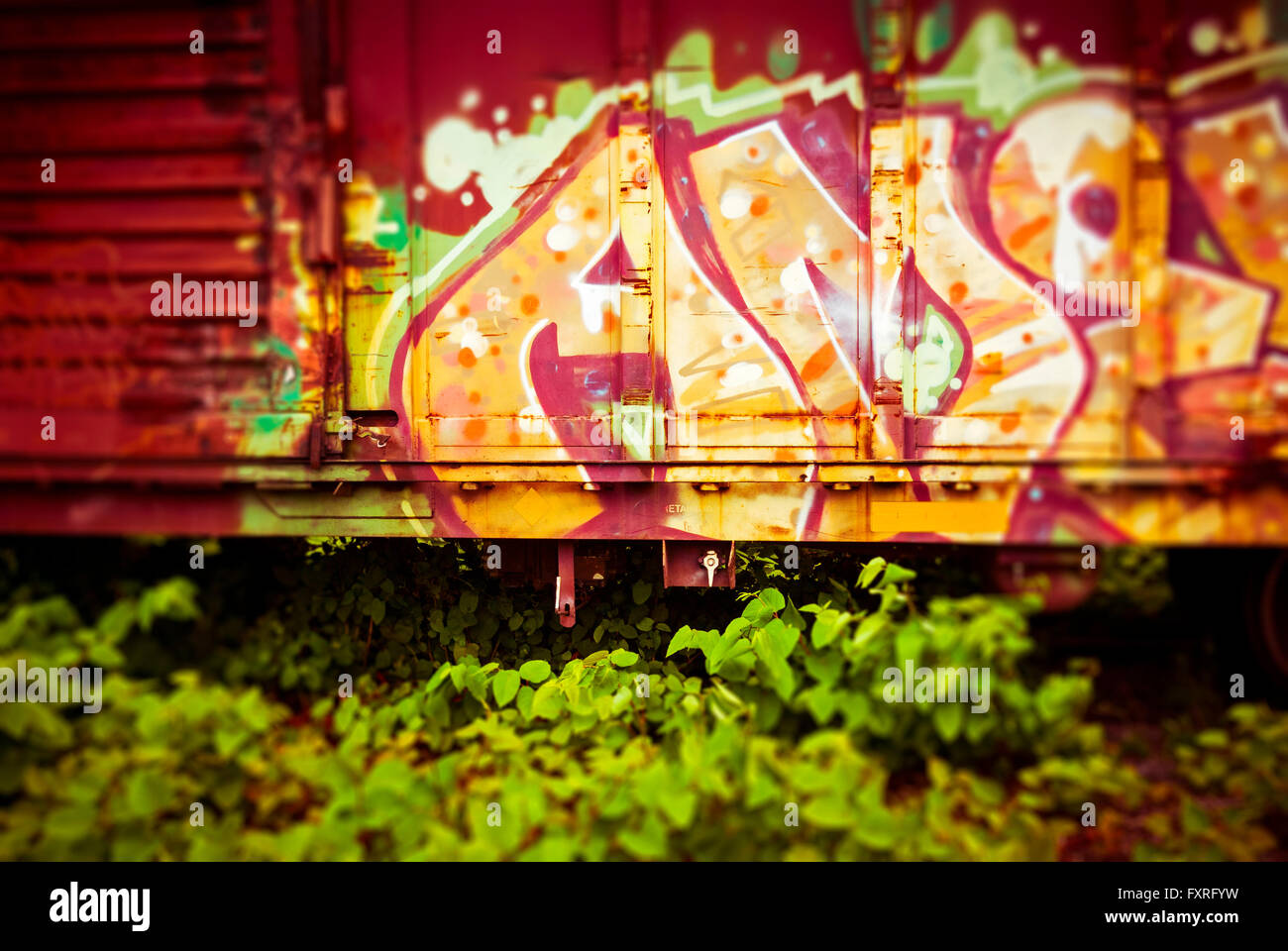 Abandoned box car decorated with spray paint graffitit in Manistee ...
