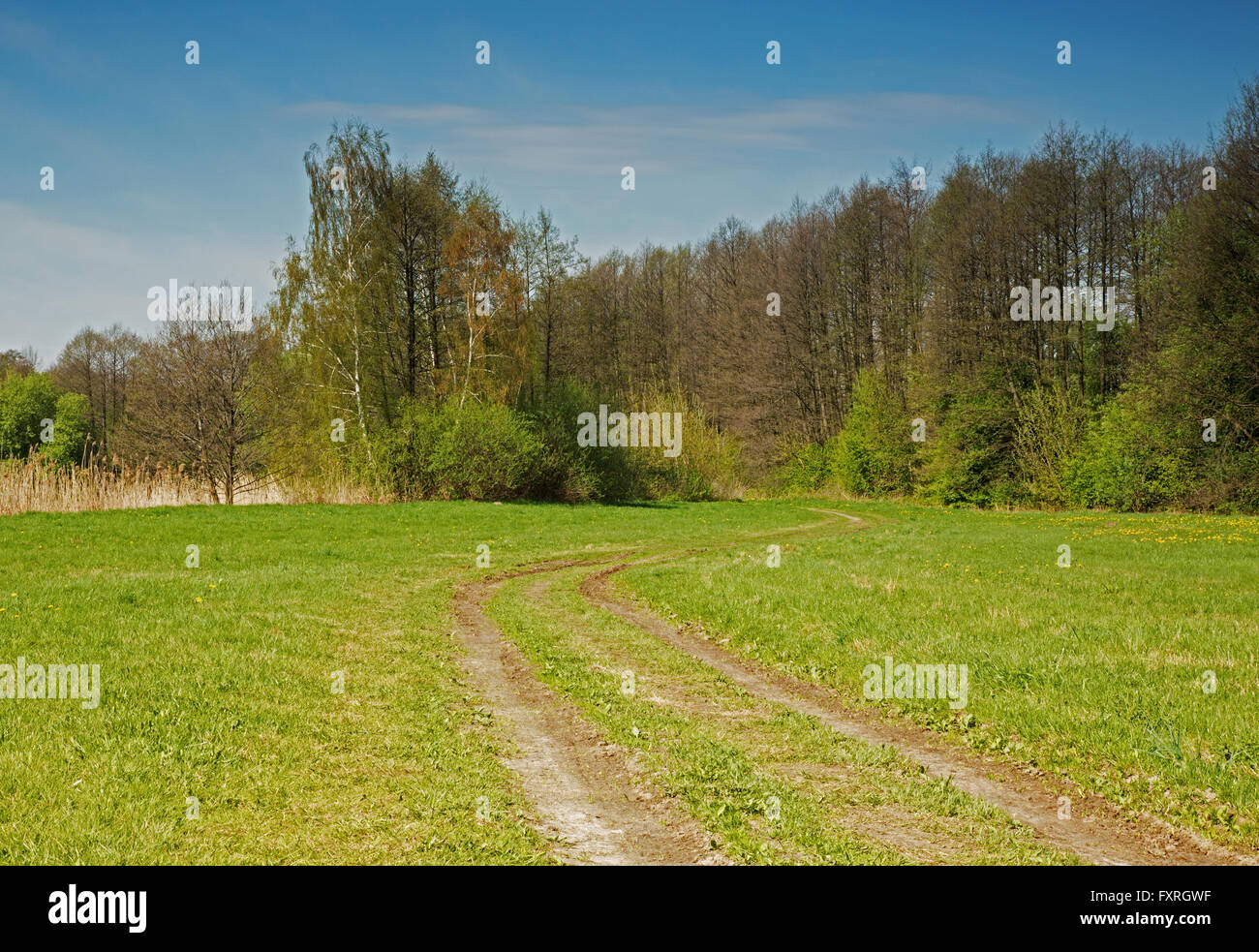 Raszyn poland hi-res stock photography and images - Alamy
