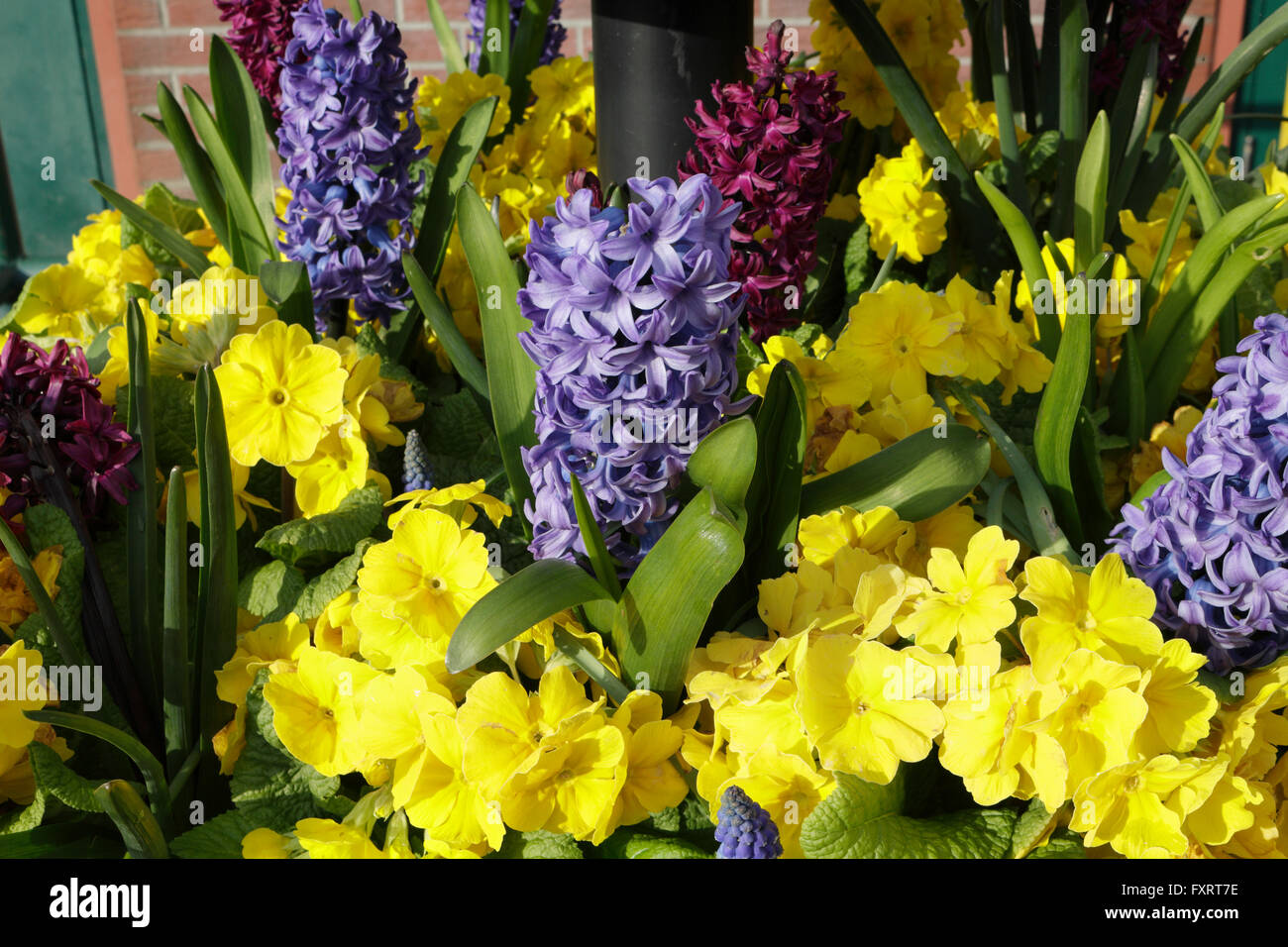 Hanging floral display hi-res stock photography and images - Alamy