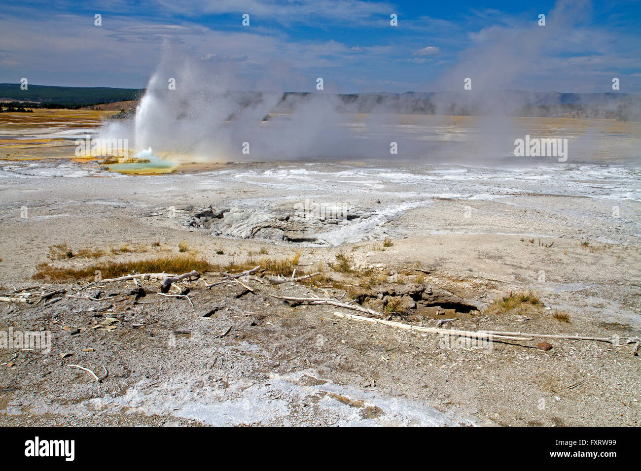 Geyser at Fountain Paint Pot, Yellowstone National Park Stock Photo - Alamy