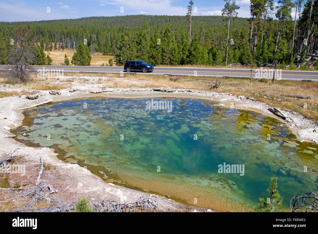 Leather Pool at Fountain Paint Pot, Yellowstone National Park Stock ...