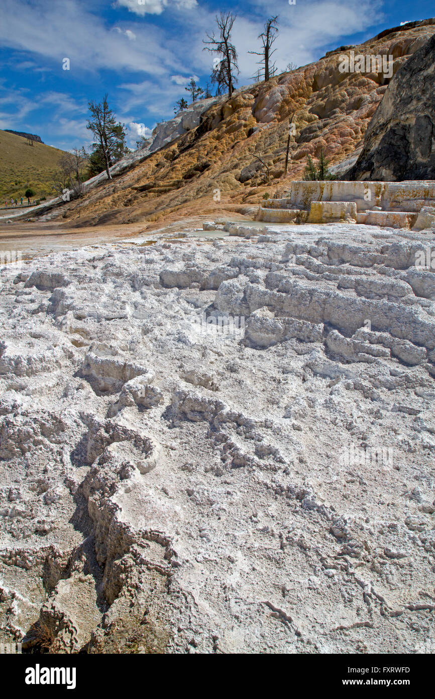 Travertine terraces yellowstone hi-res stock photography and images - Alamy