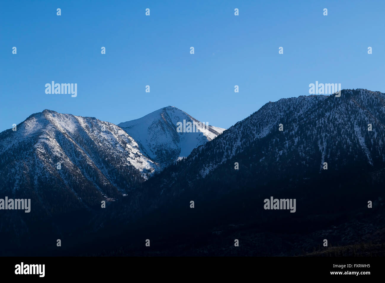 Thin layer of snow hi-res stock photography and images - Alamy