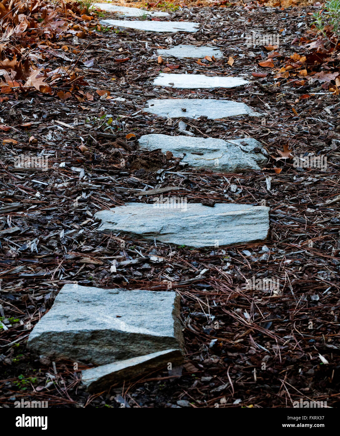 Stepping Stones Path In Bark And Leaves Stock Photo - Alamy