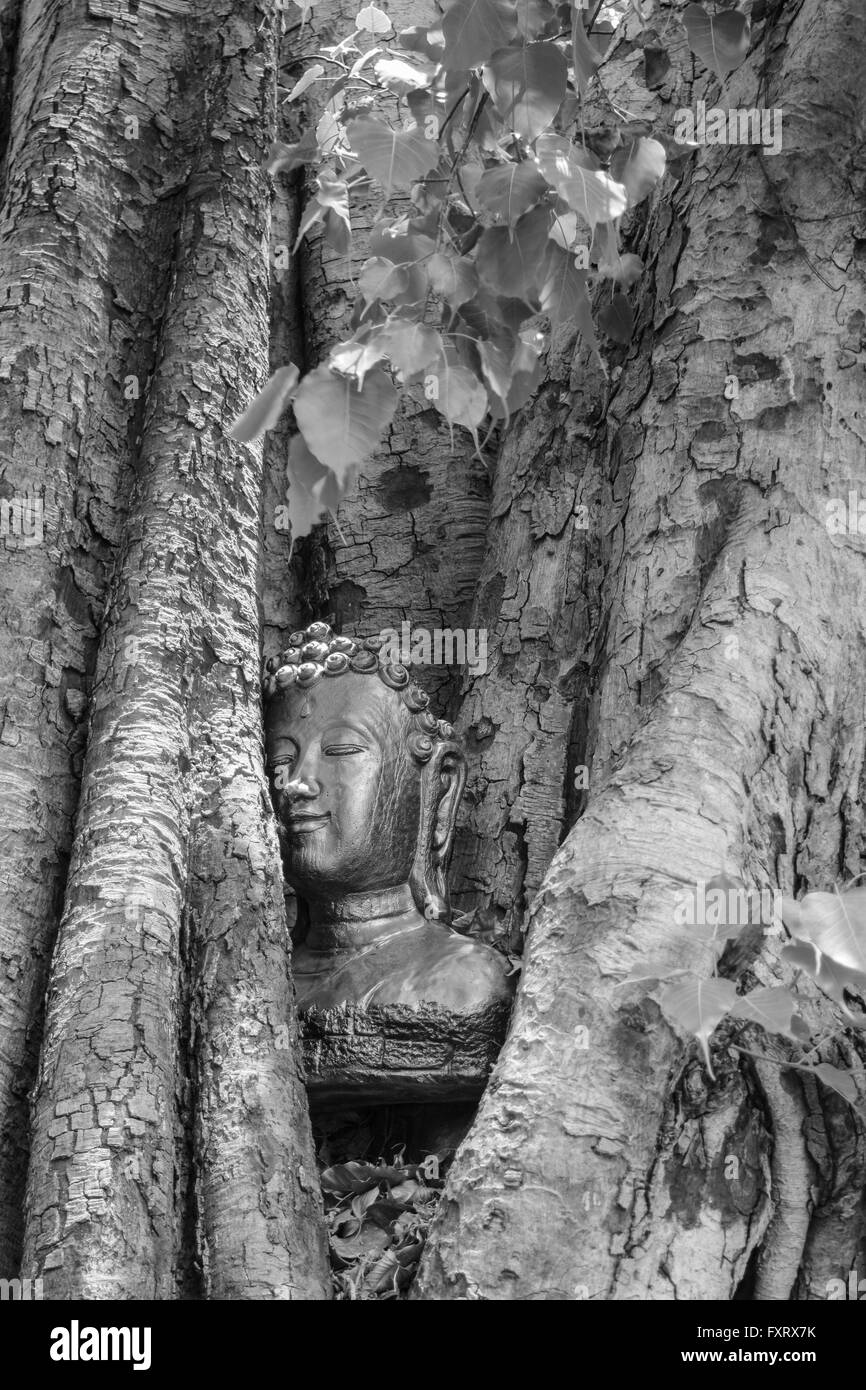 Ancient black buddha hi-res stock photography and images - Alamy