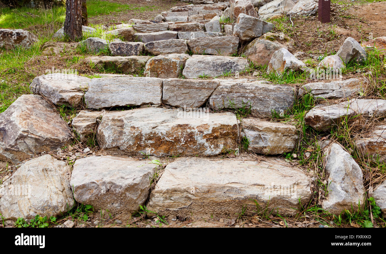 Rough Stone Steps Outdoors Amid Grass And Pine Needles Stock Photo - Alamy