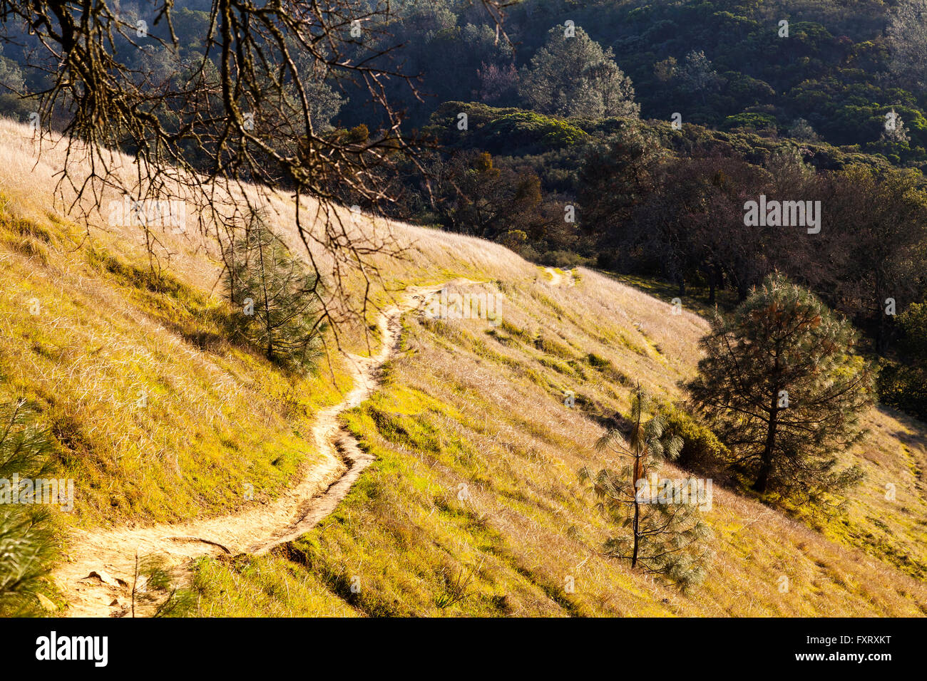 Mount Diablo California Steep Path Up Hill Stock Photo - Alamy