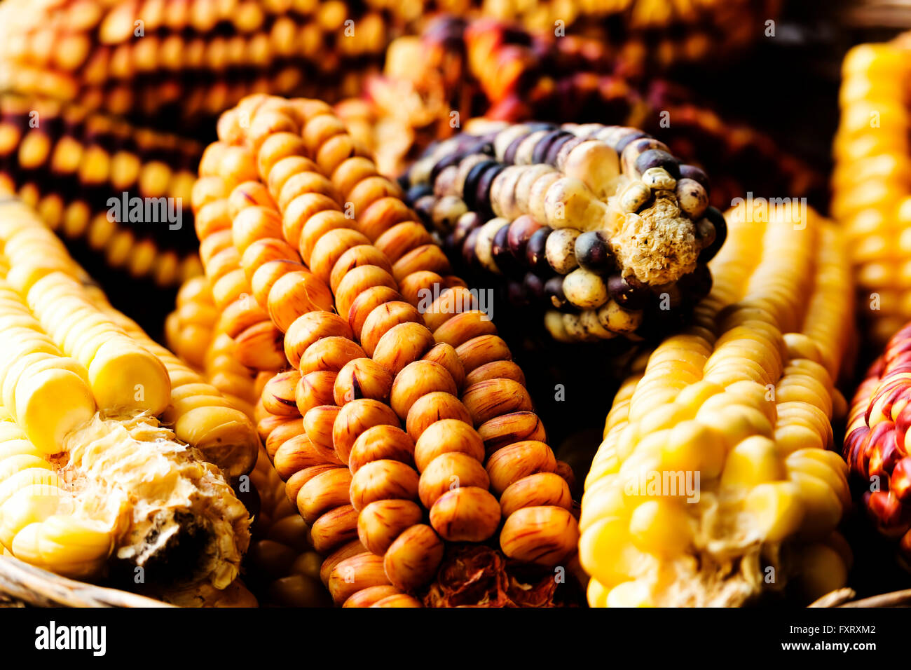 Peruvian Corn 101: Different Types Dishes The Best Latin, 55% OFF