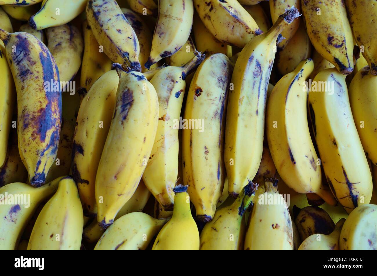 Hawaii bananas hi-res stock photography and images - Alamy