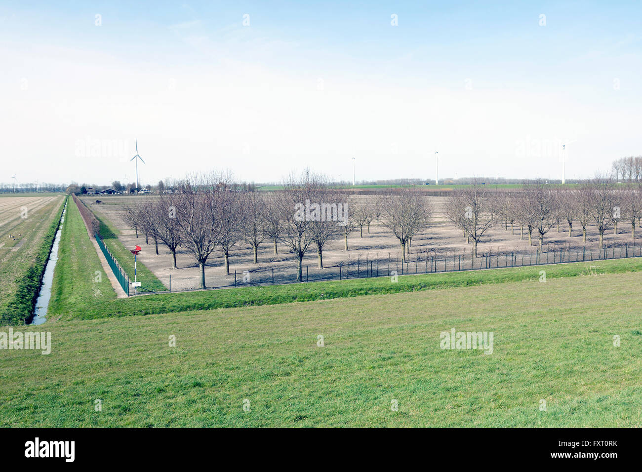 Dutch plantation hi-res stock photography and images - Alamy