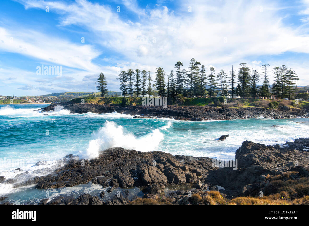 Storm Bay, Kiama, Illawarra Coast with its typical Norfolk Pines ...