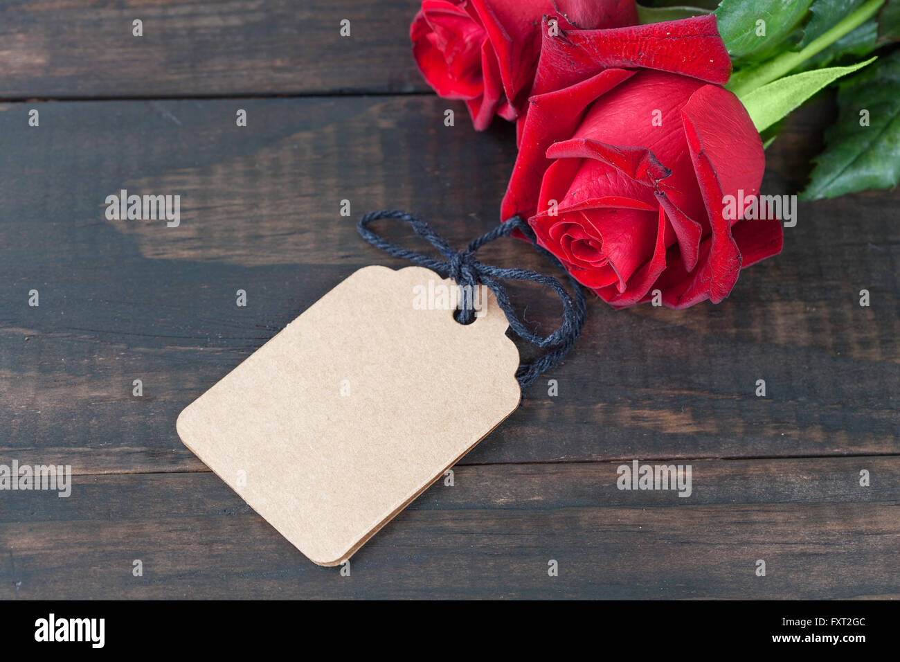 Field of red roses hi-res stock photography and images - Alamy